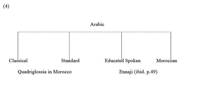 The Moroccan Linguistic Situation