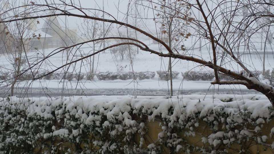 In Pictures, Winter Wonderland Ifrane Gains its Picturesque Snow ...