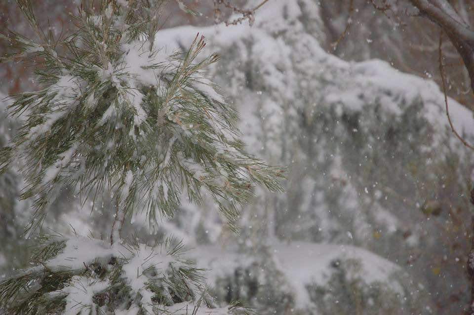 In Pictures, Winter Wonderland Ifrane Gains its Picturesque Snow ...