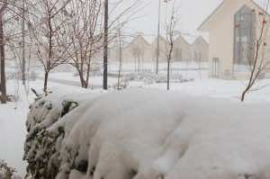 In Pictures, Winter Wonderland Ifrane Gains its Picturesque Snow ...