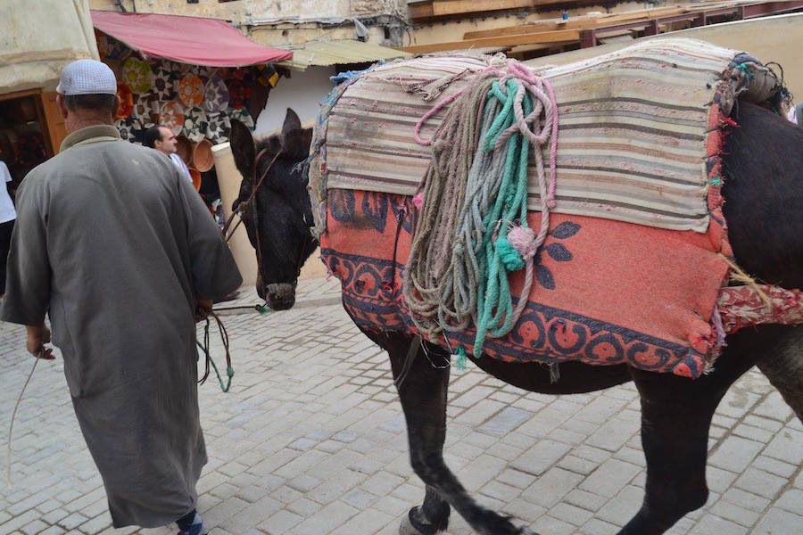 Facts about Fez That You Didn't Know