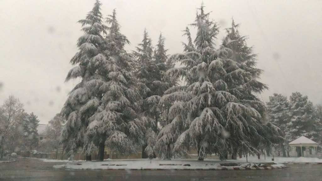 In Pictures: Glamorous View of Ifrane Under Snow - MarocGuid