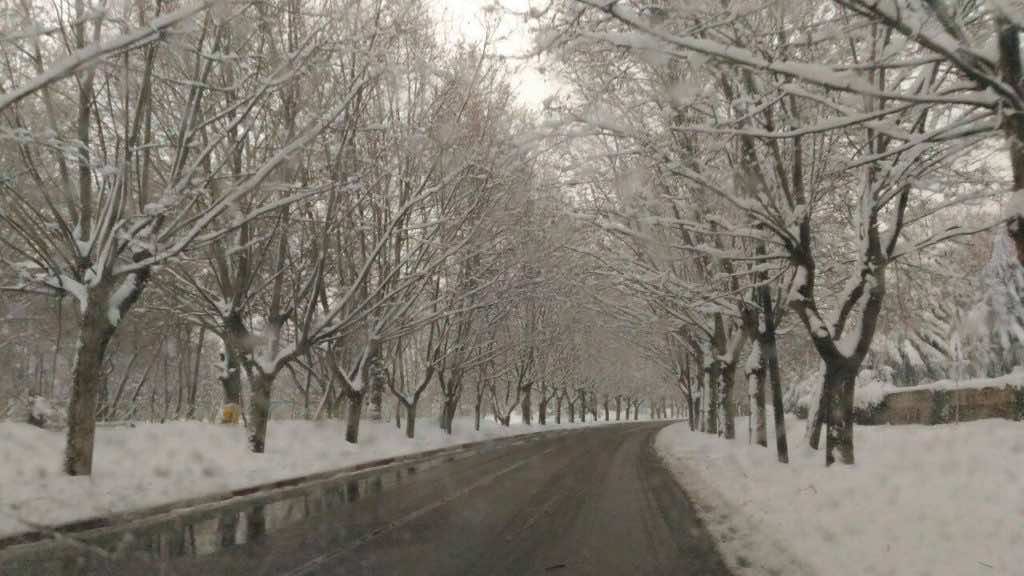 In Pictures: Glamorous View of Ifrane Under Snow - MarocGuid