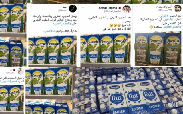 Morocco - Qatar and the Rif - Arab Digest