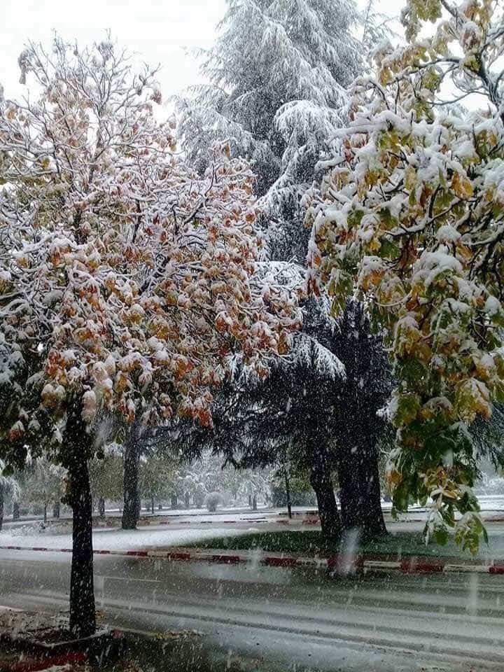 First Snowfall Blankets Ifrane with 30 Centimeters