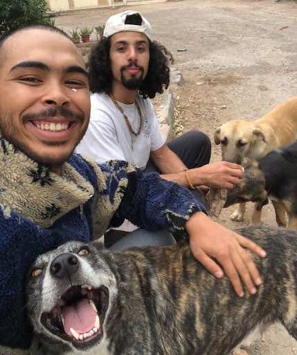 7 Things Animal Lovers Want You to Know About Moroccan Stray Dogs