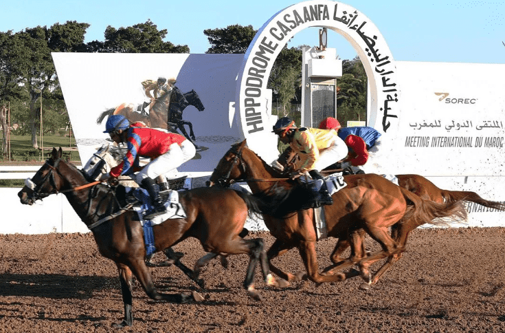 SOREC’s Morocco International Meeting Celebrates Equestrianism