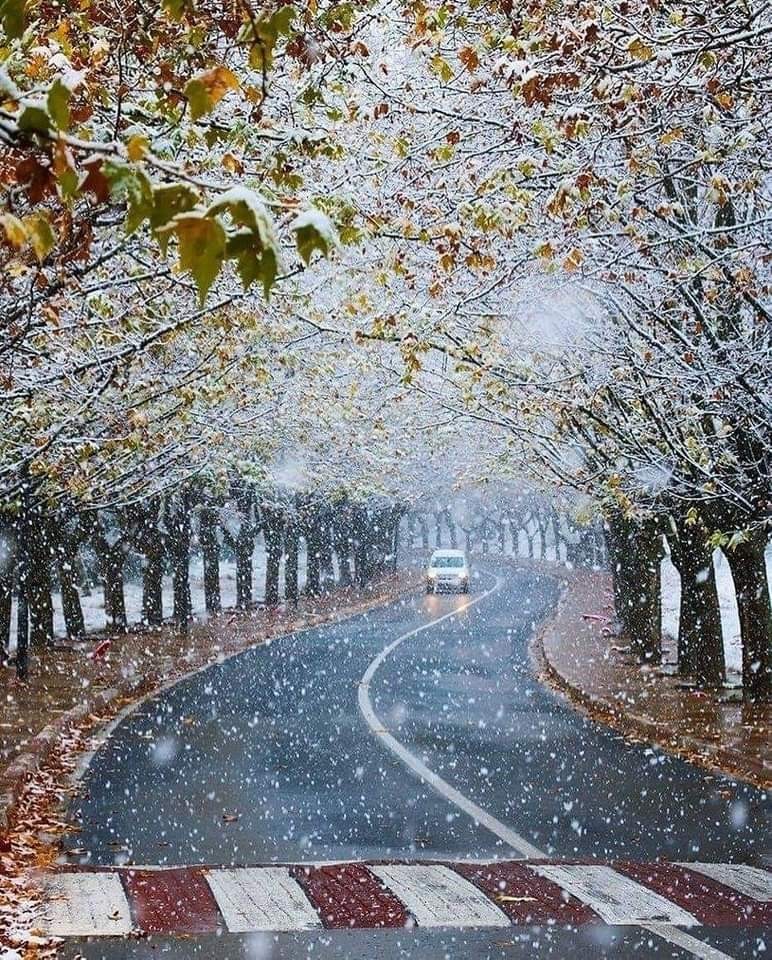 In Pictures: Snow-Covered Ifrane, Morocco’s Winter Wonderland