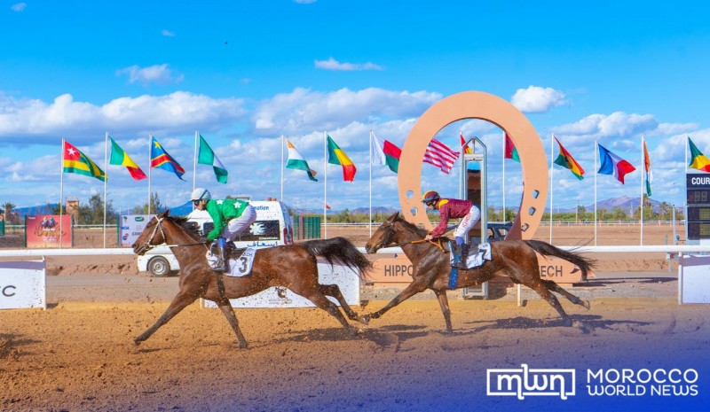 Marrakech Grand Prix Shows off Moroccan, African Horse Racing Capabilities