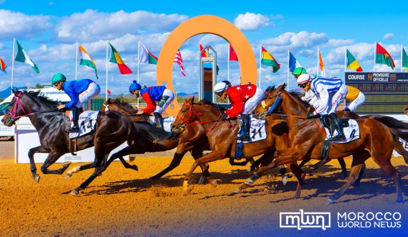 Marrakech Grand Prix Shows off Moroccan, African Horse Racing Capabilities