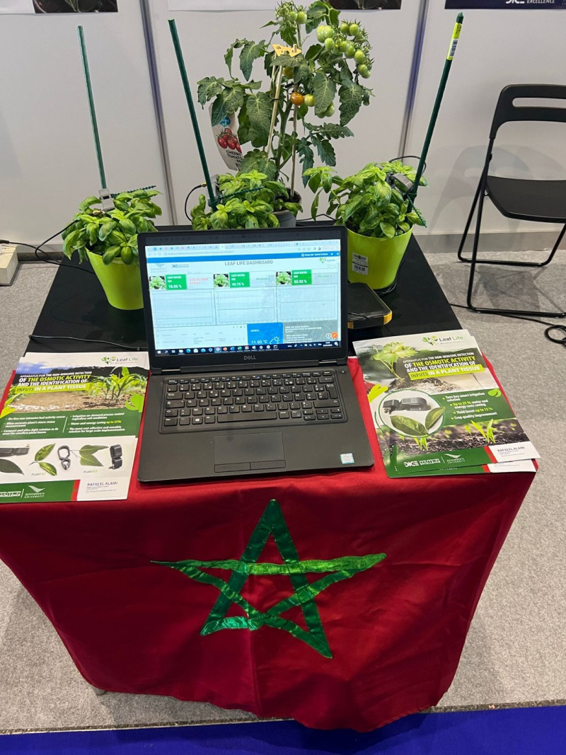 Morocco’s UM6P Bags Gold Medal at International Exhibition of ...