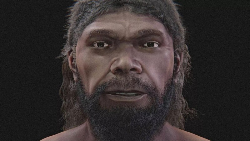Oldest Known Human Face Reconstructed from 300,000-Year-Old Moroccan ...