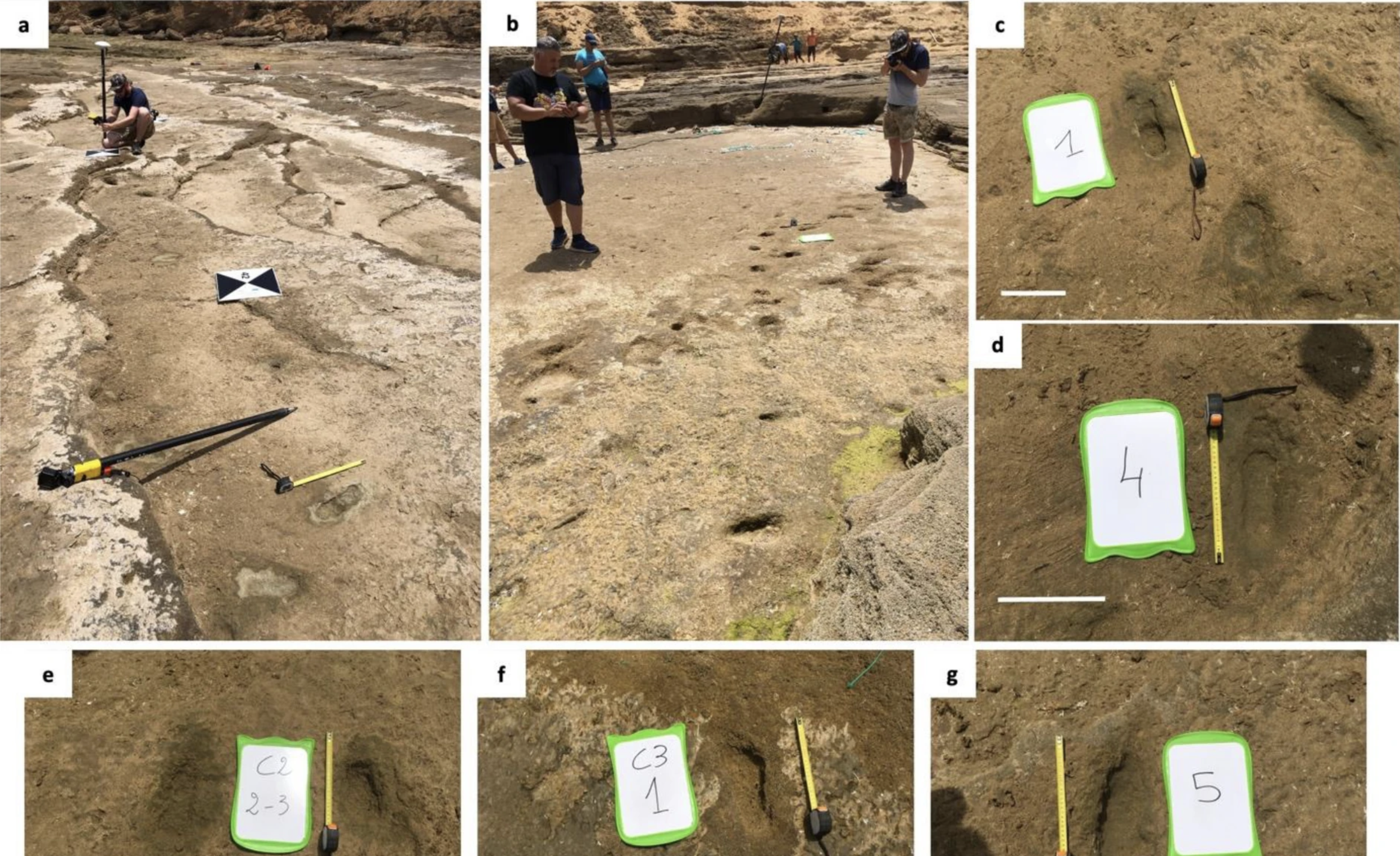 90 000 Year Old Human Footprints Unearthed On Morocco S Northwestern Coast