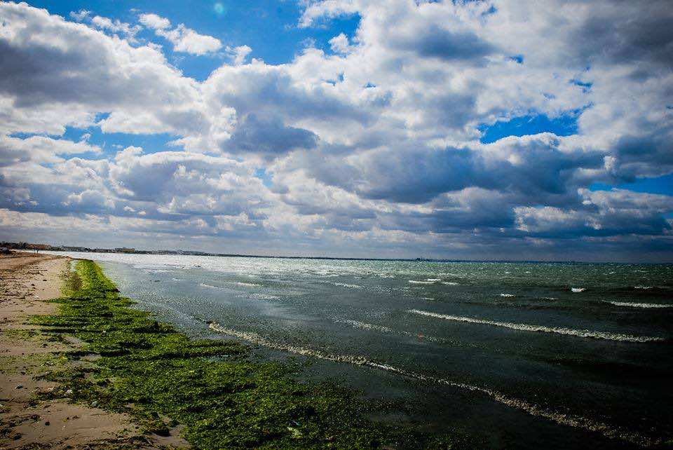 Diaries of Someone Devastated - Poem