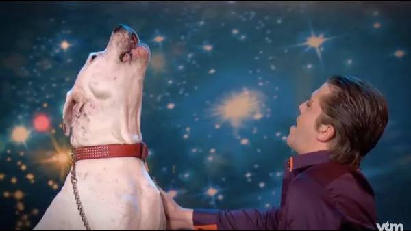 Belgium's Got Talent: Dog 'sings' Whitney Houston