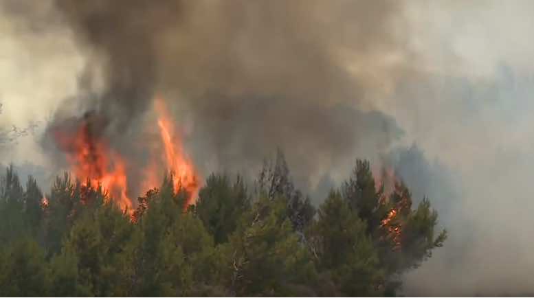 Massive Fire in Tangier Forrest, Spain Helps Fight the Blaze