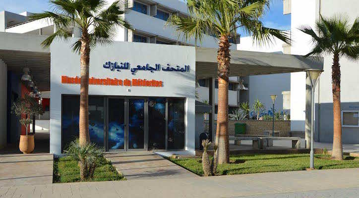 First Moroccan Museum of Meteorites Opens in Agadir