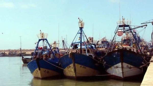 Fish Landing at Morocco’s Tan-Tan Port Reaches $58.8 Million