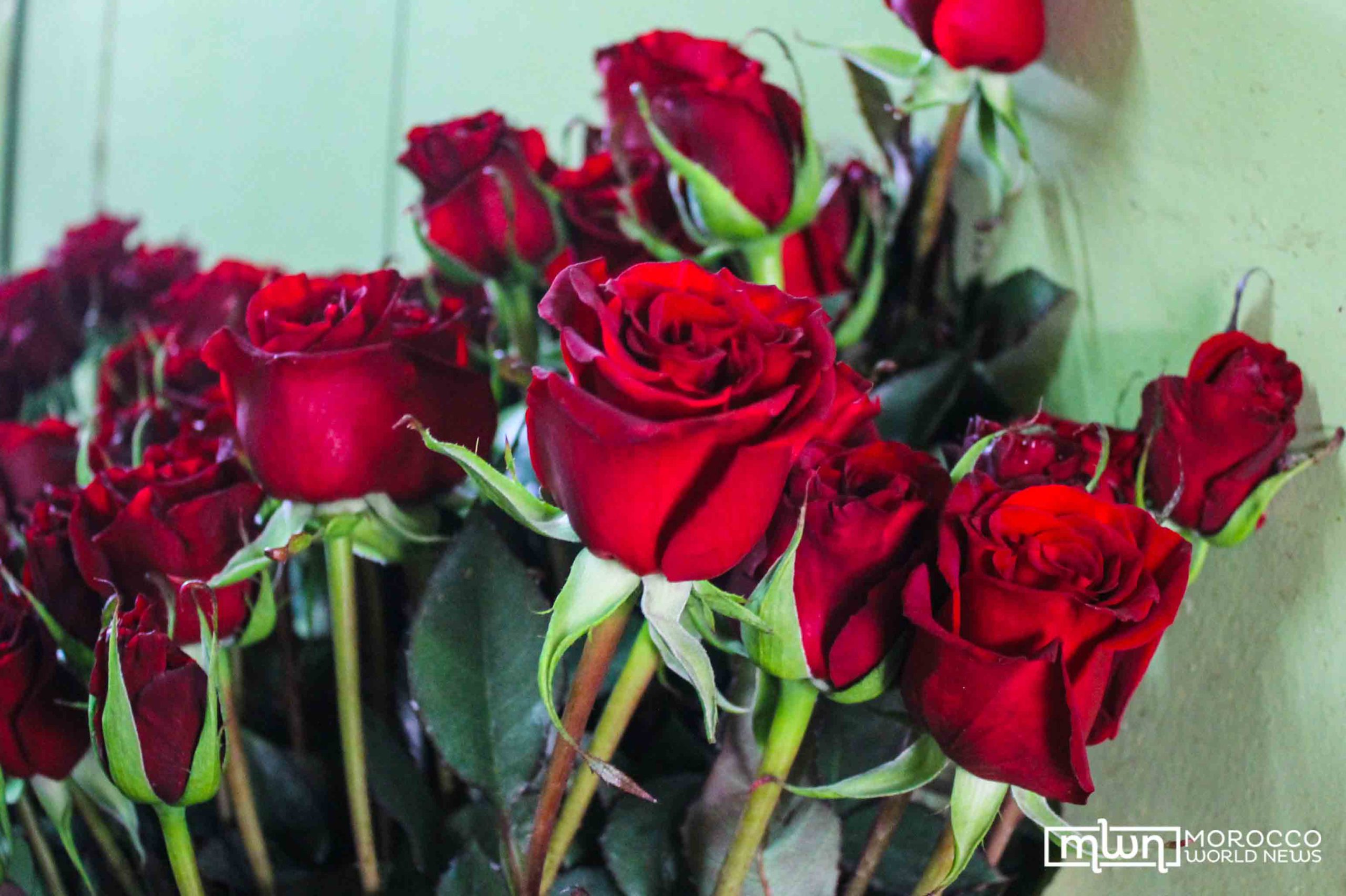 How do Moroccans Celebrate Valentine’s Day?