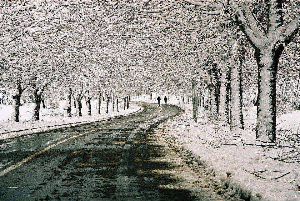 Morocco's Ifrane to Host Popular Snow Festival