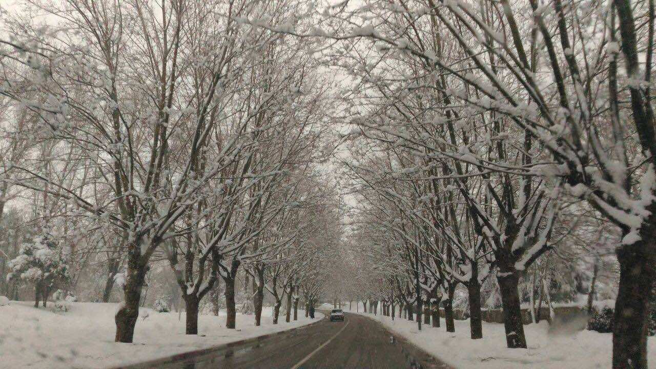 In Pictures: Glamorous View of Ifrane Under Snow