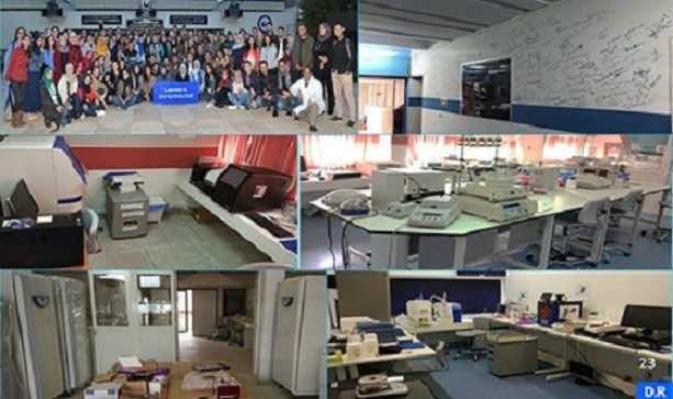 Moroccan Scientists Analyze Over 3,000 Genomes of COVID-19