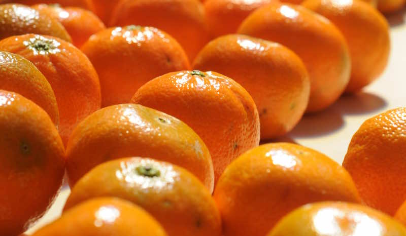 U.S. Bans All Importation of Oranges From Berkane Region of Morocco