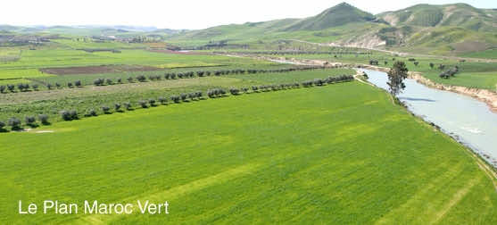 Maroc Plan Vert Going Strong: Akhannouch