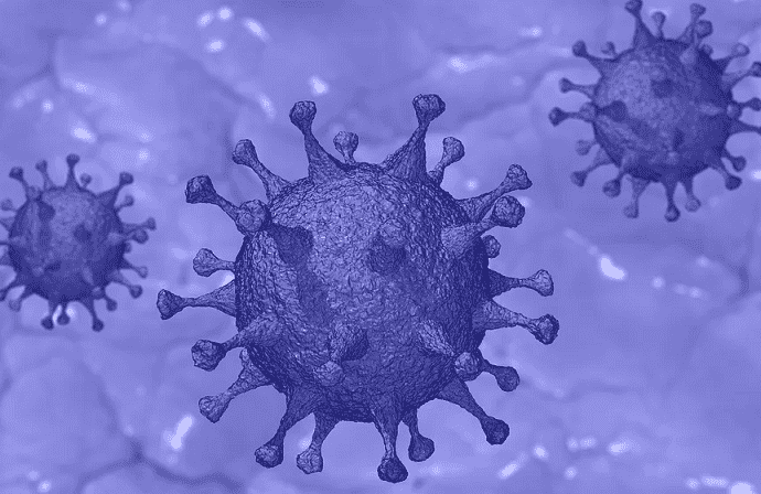 Morocco Launches Campaign to Identify COVID-19 Strains