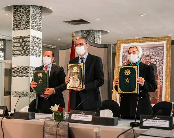 Morocco Launches Program to Benefit from Diaspora’s Expertise in Green ...