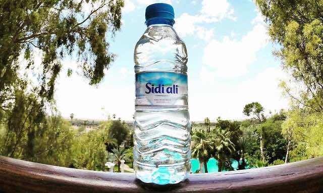 Boycott: Sidi Ali-Oulmes Earned MAD 195 Million in 2017