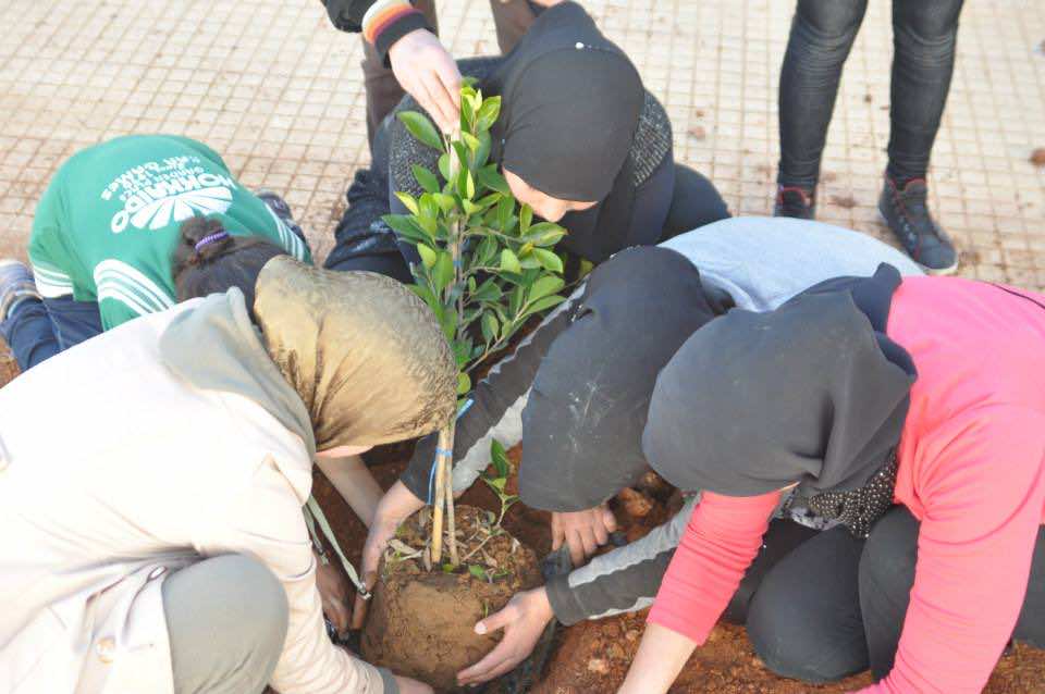 How to Plant Morocco’s Billion Trees