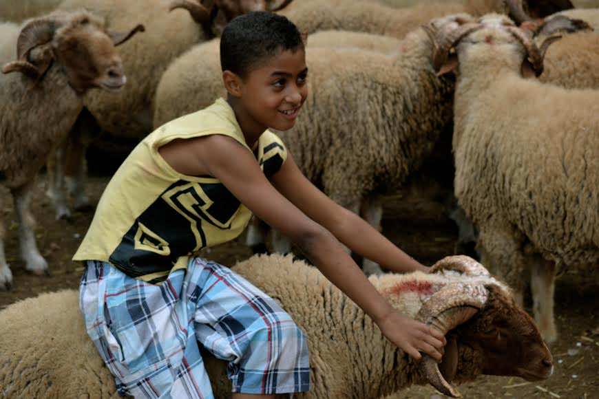 Eid Al Adha, time when farmers make profits and people get into debt