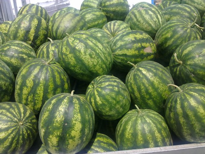 Sharp Growth of Moroccan Watermelon Exports in Europe