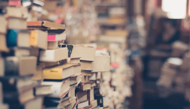 Alaa Halifi, First Moroccan Author to Win Al-Rafidain Award