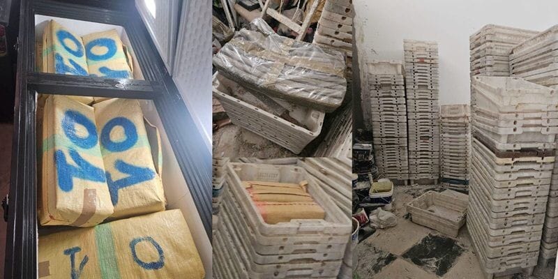 Authorities Bust Major Drug Trafficking Ring in Tangier, Seize Over 500 ...