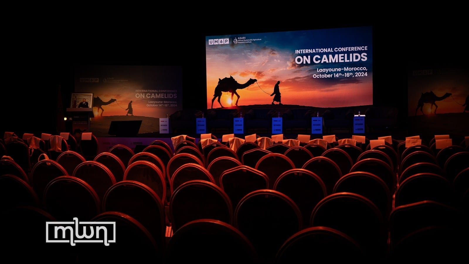 Camelids Centrality: Experts Gather in Laayoune to Revolutionize ...