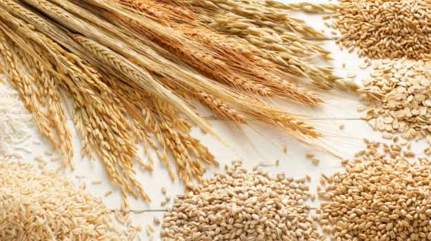 Cereal Production in 2016-2017 Largely Exceeding Average Season
