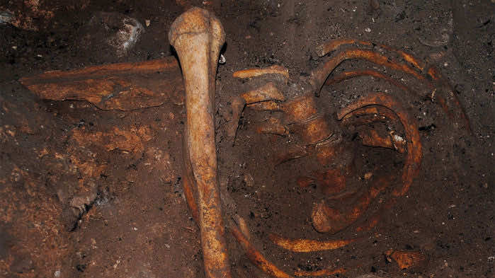Oldest Nuclear DNA from Africa Discovered in Morocco