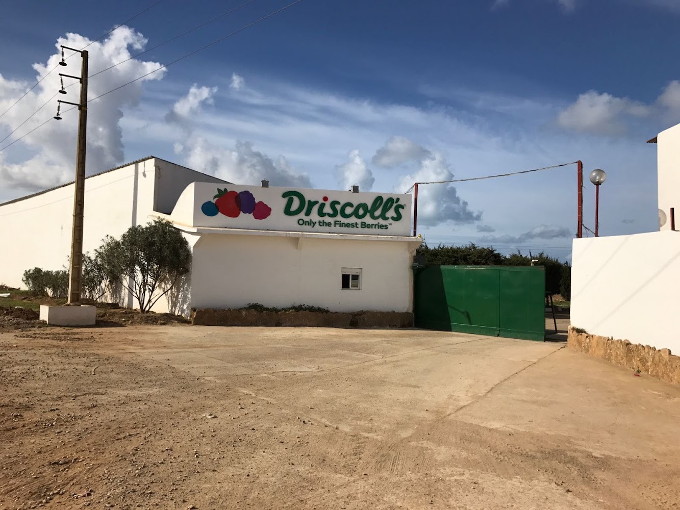 Driscoll’s Maroc Launches Construction of Berry Processing Plant in Larache