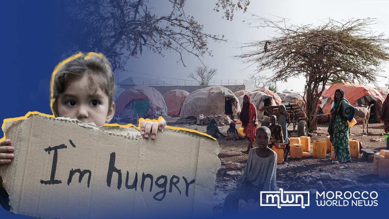 Eight Billion People; One Humanity