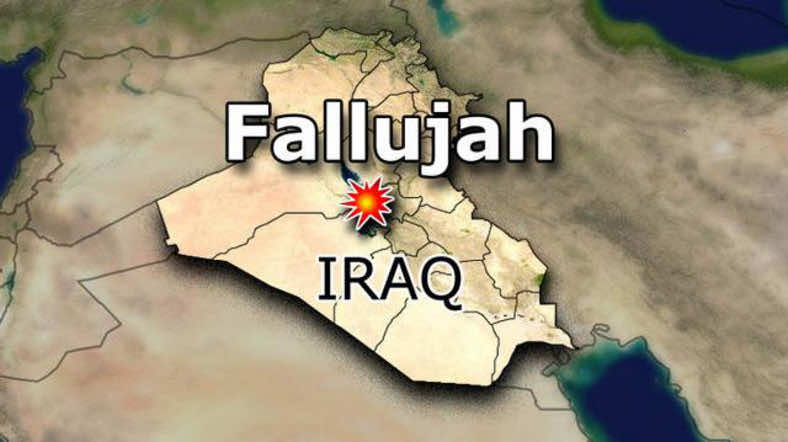 Iraqi government loses control of Fallujah