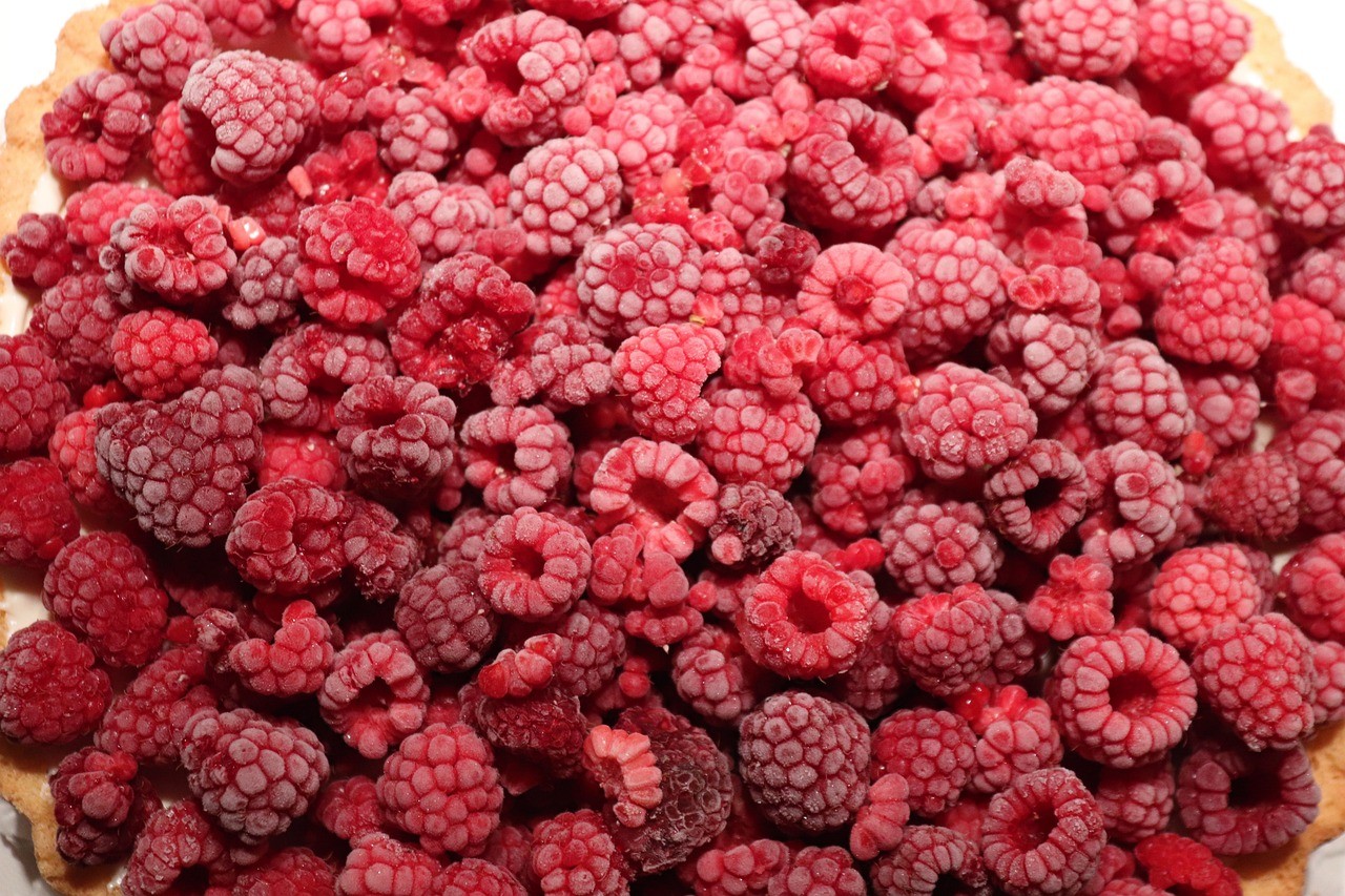 Moroccan Frozen Raspberry Exports to Spain Reach Record High in 2022-23 ...