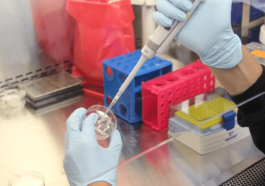 Moroccan Scientists Discover New Gene Associated with Children’s Disease