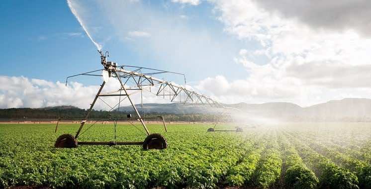 Moroccan Think Tank: Stimulating Innovation Is Key to Resilient Agriculture