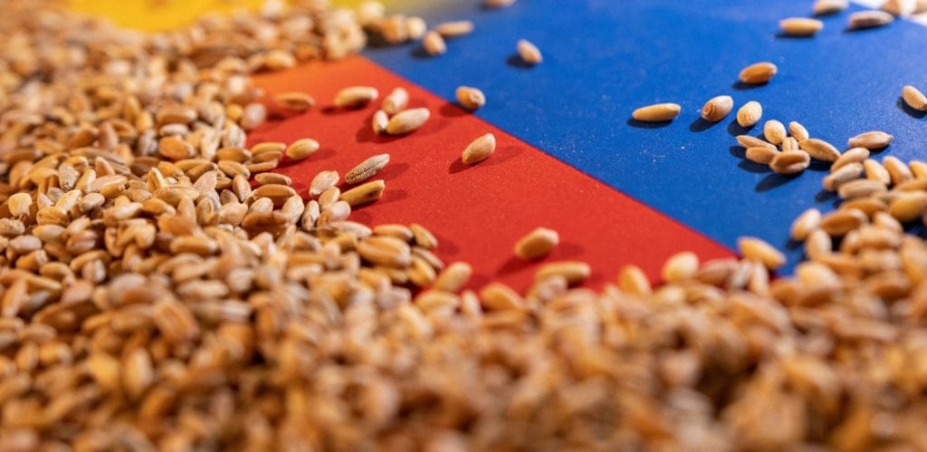 Morocco Imported Over 200,000 Tons of Grains from Russia in First Half ...