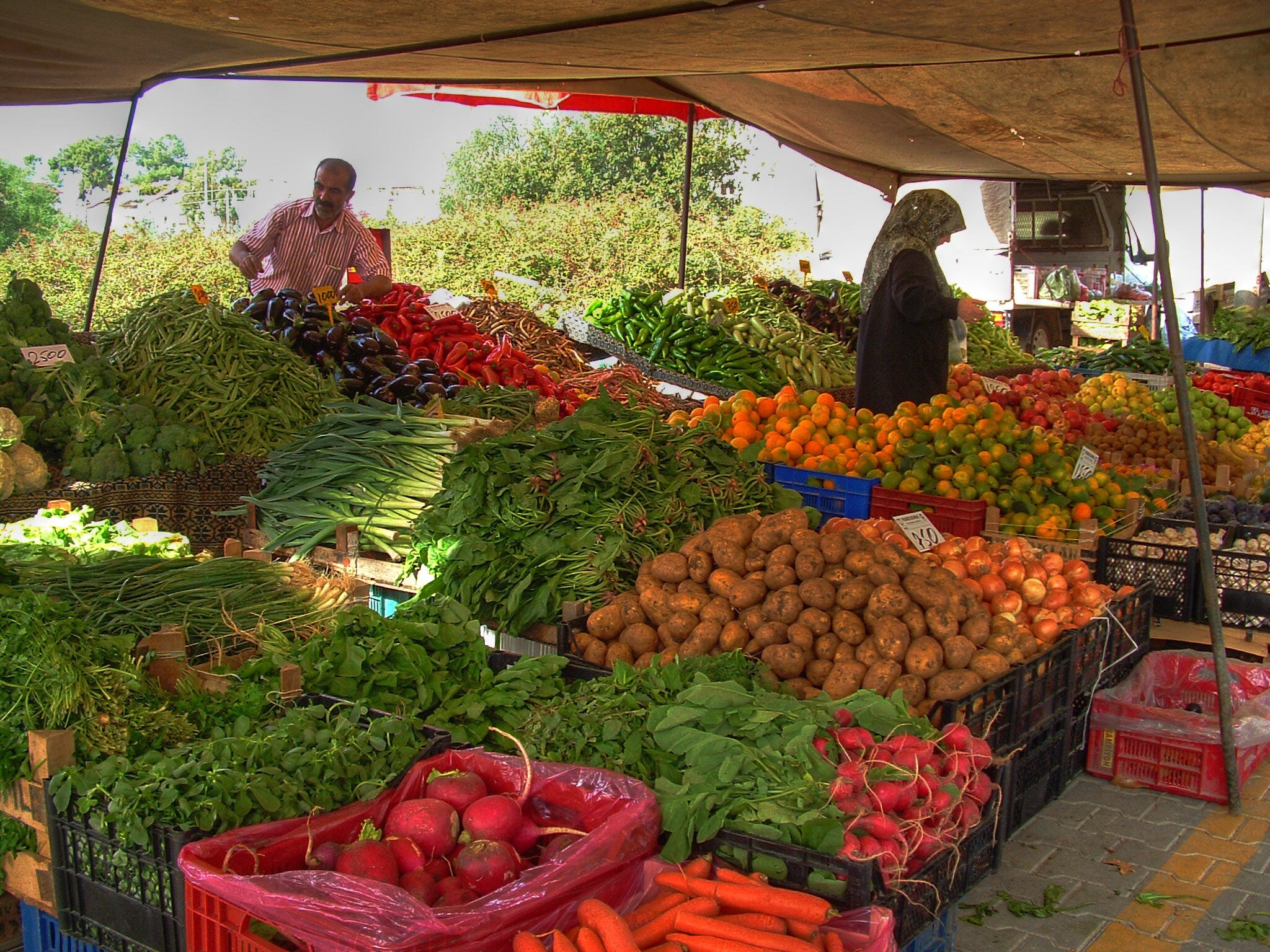 Morocco Leads Spain’s Non-EU Fruit and Vegetable Imports in Early 2024