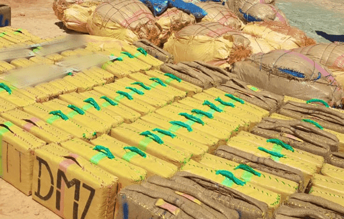 Morocco Seizes 31 Tonnes of Cannabis in Tangier