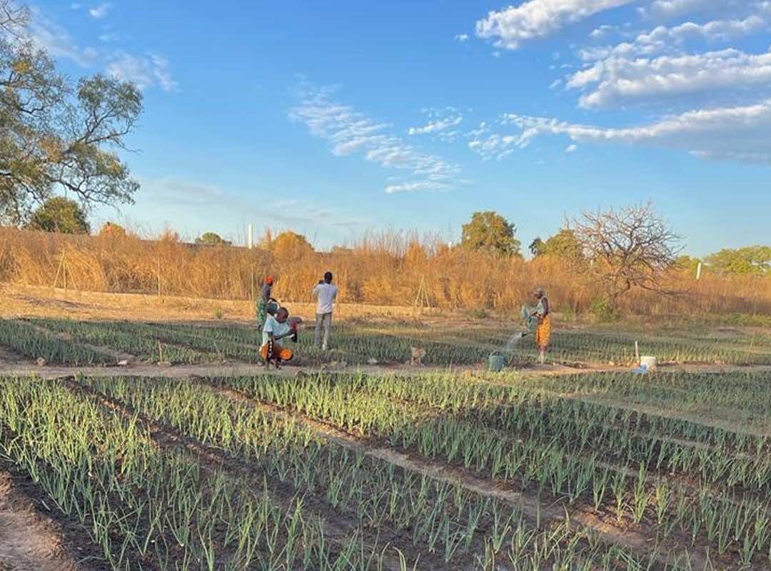 OCP Foundation Announces Support for Sustainable Development Project in ...