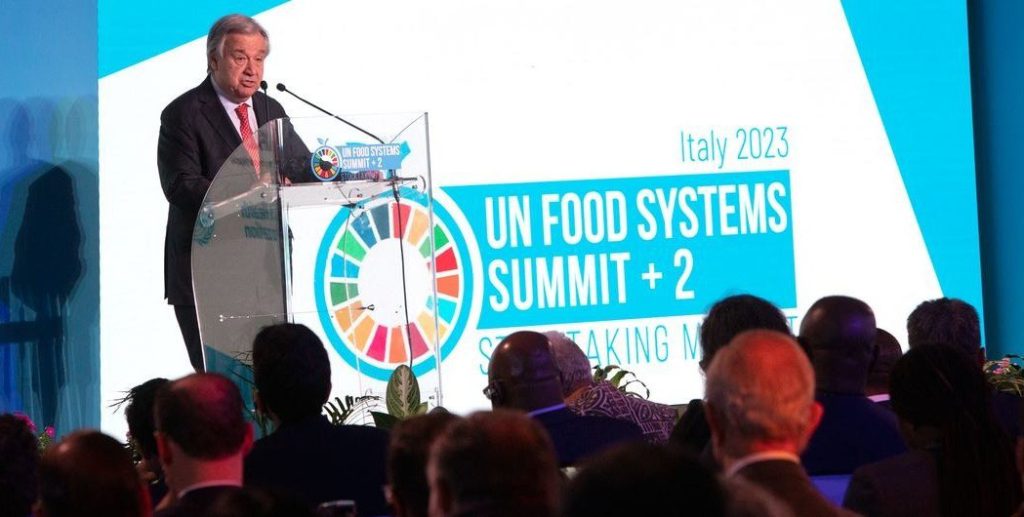 OCP Pledges Sustainable, Equitable Agriculture System at UN Food ...